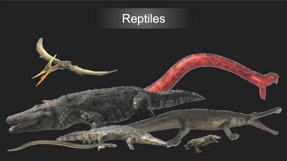 Reptiles Faction | Animal Revolt Battle Simulator Wiki | Fandom