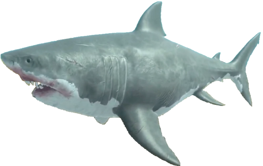 Mutant Megalodon | Animal Revolt Battle Simulator Wiki | Fandom