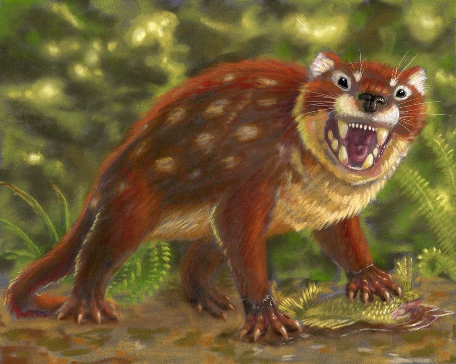 Didelphodon | Animal Simulator Wiki | Fandom