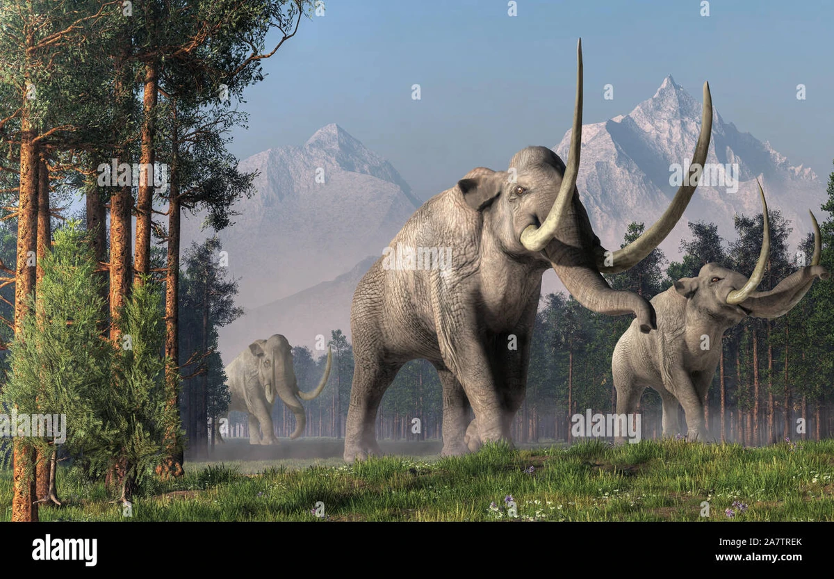 Columbian mammoth | Animal Simulator Wiki | Fandom