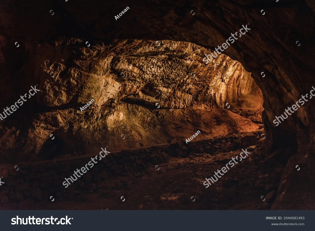 Cave | Animal Simulator Wiki | Fandom