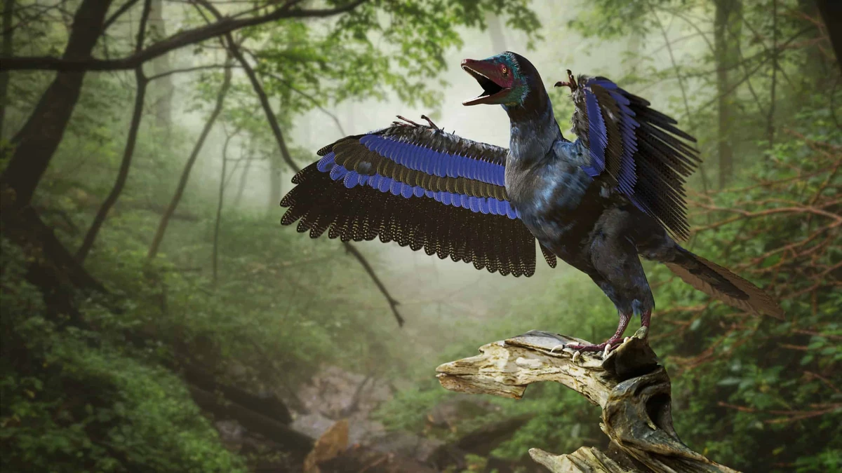 Archaeopteryx | Animal Simulator Wiki | Fandom