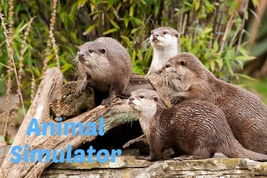 Animal Simulator | Animal Simulator Wiki | Fandom