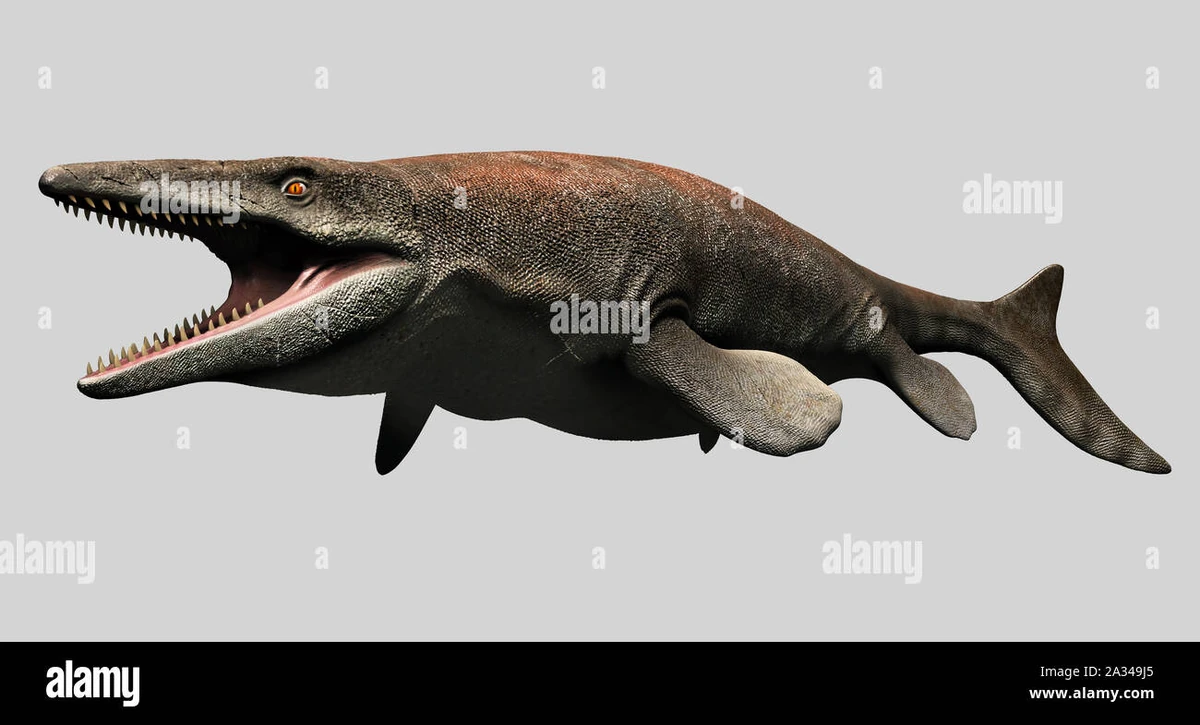 Mosasaurus (transformation) | Animal Simulator Wiki | Fandom