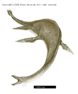 Plesiosaurus (transformation) | Animal Simulator Wiki | Fandom