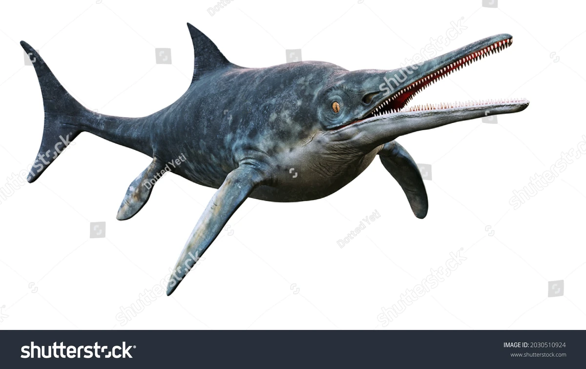 Ichthyosaurus (transformation) | Animal Simulator Wiki | Fandom