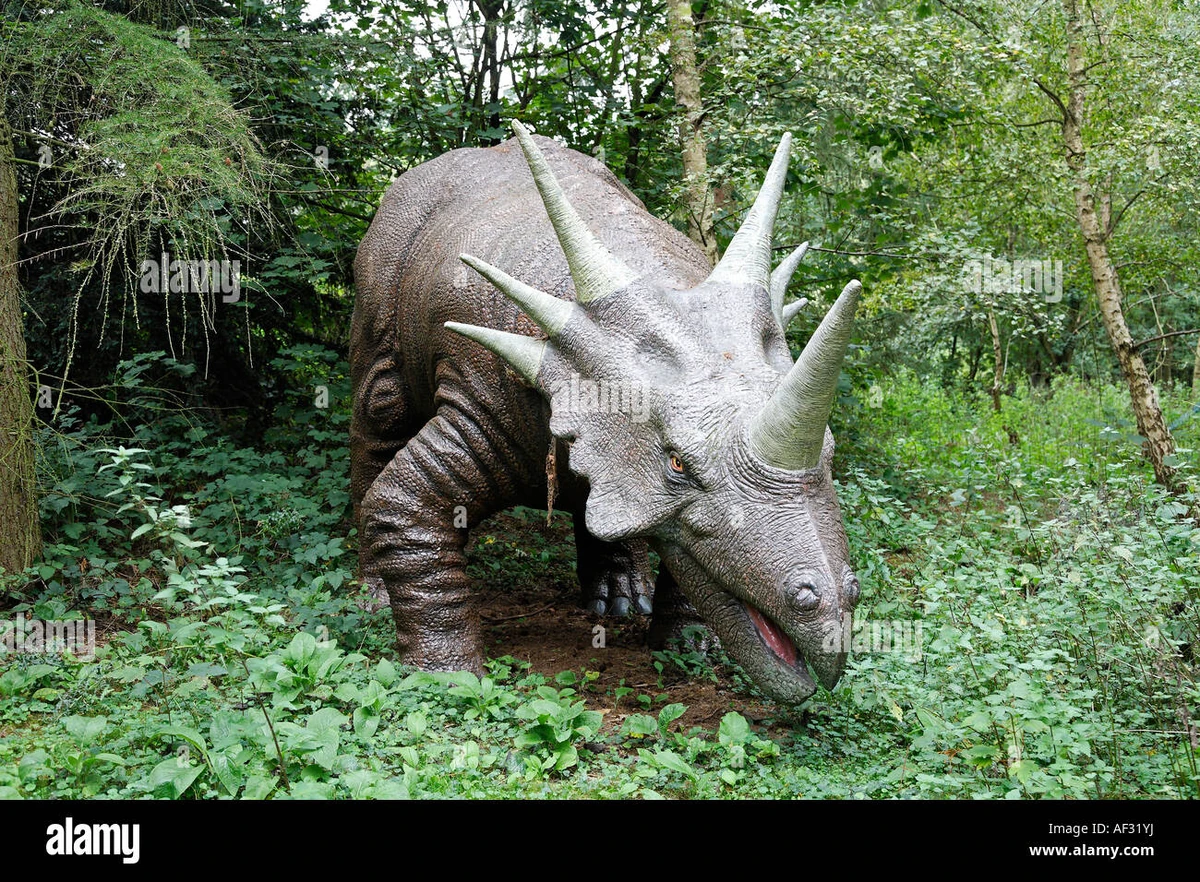 Styracosaurus | Animal Simulator Wiki | Fandom