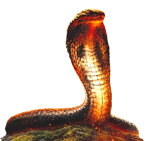 Gérathon | Wiki Animal Tatoo | Fandom