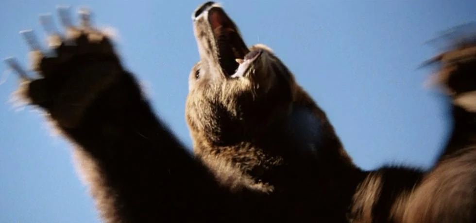 Grizzly | Animal Villains Wiki | Fandom