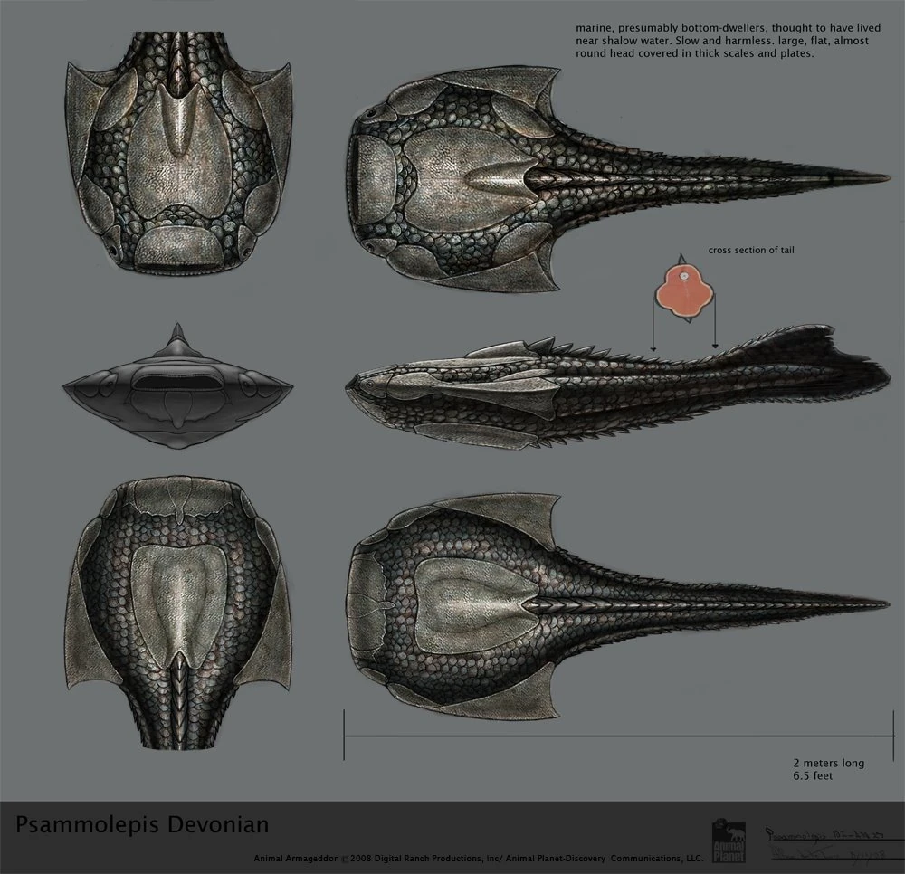Psammolepis | Animal Armageddon Wiki | Fandom
