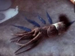 Acanthodians | Animal Armageddon Wiki | Fandom