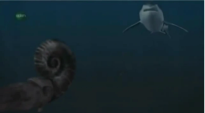 Shark | Animal Armageddon Wiki | Fandom