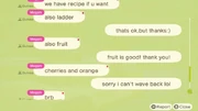 Chat Log | Animal Crossing Wiki | Fandom