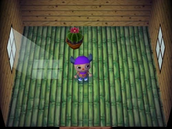 Curlos | Animal Crossing Wiki | Fandom