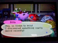Bitty/Gallery | Animal Crossing Wiki | Fandom