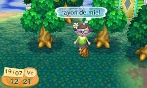 Ruche | Animal Crossing Wiki | Fandom