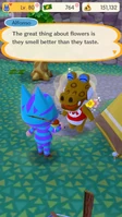 Alfonso/Gallery | Animal Crossing Wiki | Fandom