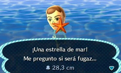Estrella de mar | Animal Crossing Enciclopedia | Fandom