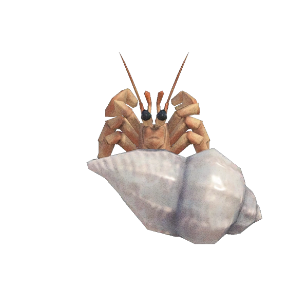 Bernard-l'ermite | Animal Crossing Wiki | Fandom