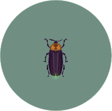 Firefly/Gallery | Animal Crossing Wiki | Fandom