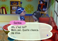 Cachou | Animal Crossing Wiki | Fandom