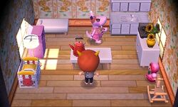 Marcie | Animal Crossing Wiki | Fandom