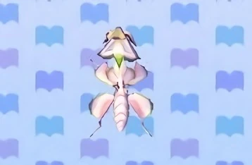 Orchid mantis/Gallery | Animal Crossing Wiki | Fandom