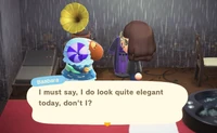 Baabara/Gallery | Animal Crossing Wiki | Fandom