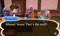 Broccolo/Gallery | Animal Crossing Wiki | Fandom