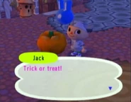 Jacqu'O | Animal Crossing Wiki | Fandom