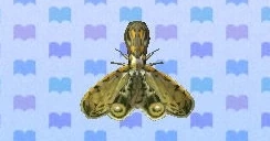 Lantern fly | Animal Crossing Wiki | Fandom
