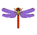 Red dragonfly/Gallery | Animal Crossing Wiki | Fandom