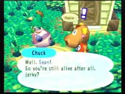 Chuck/Gallery | Animal Crossing Wiki | Fandom