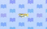 Killifish/Gallery | Animal Crossing Wiki | Fandom