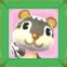 Cachou | Animal Crossing Wiki | Fandom