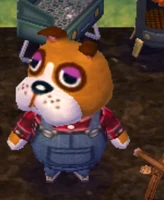 Booker/Gallery | Animal Crossing Wiki | Fandom
