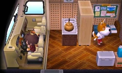 Campground | Animal Crossing Wiki | Fandom