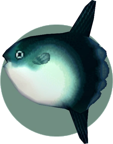 Ocean sunfish/Gallery | Animal Crossing Wiki | Fandom