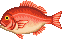 Red snapper | Animal Crossing Wiki | Fandom