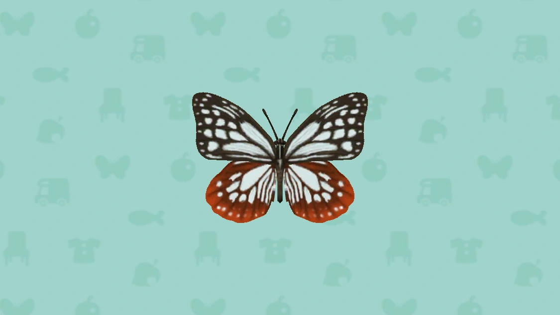 Chestnut tiger butterfly | Animal Crossing Wiki | Fandom