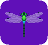 Darner dragonfly/Gallery | Animal Crossing Wiki | Fandom