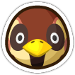 Sparro/Gallery | Animal Crossing Wiki | Fandom