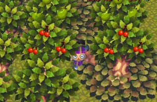 Animal Crossing (GameCube) Beta Maps | Animal Crossing Wiki | Fandom