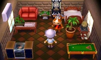 Angus/Gallery | Animal Crossing Wiki | Fandom
