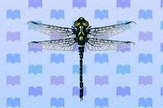 Petaltail dragonfly | Animal Crossing Wiki | Fandom