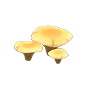 Champignon | Animal Crossing Wiki | Fandom