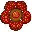 Rafflesia | Animal Crossing Wiki | Fandom
