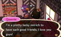 Queenie/Gallery | Animal Crossing Wiki | Fandom