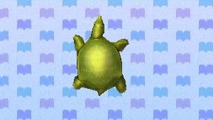 Soft-shelled turtle/Gallery | Animal Crossing Wiki | Fandom