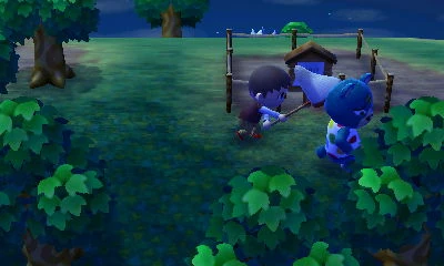 Net | Animal Crossing Wiki | Fandom